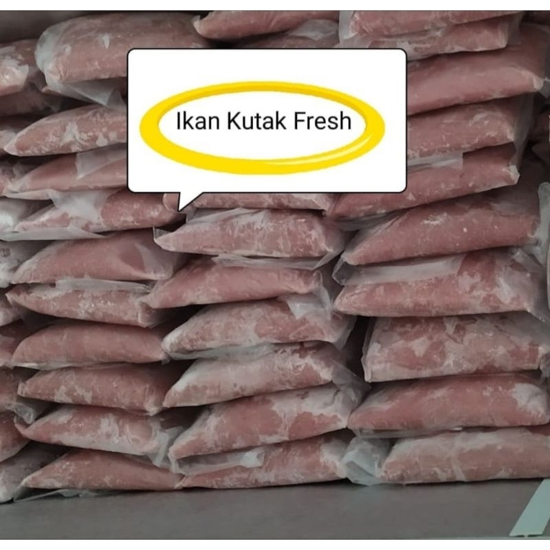 Jual Ikan putak dusun ikan belida kecil premium Palembang | Shopee ...