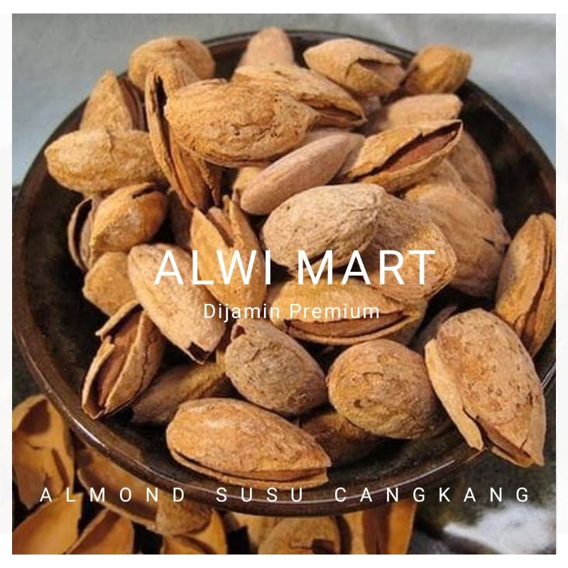 Jual Almond milk roasted, Almond kulit, Almond cangkang, Kacang Almond ...