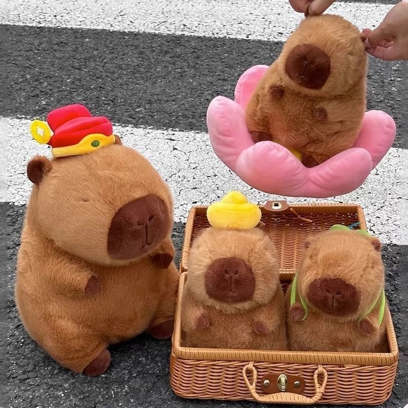 Jual Capybara set dolls (bisa terpisah) | Shopee Indonesia