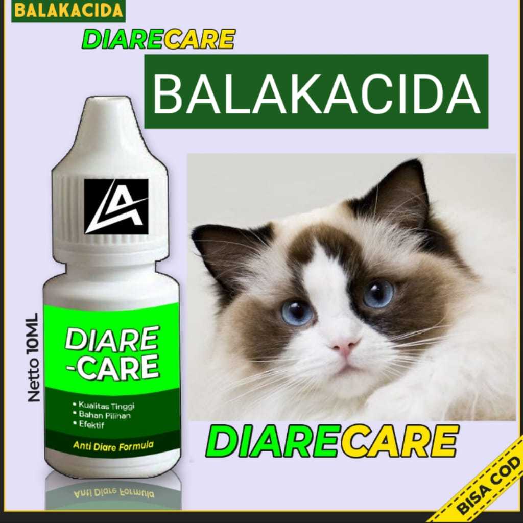 Jual Obat Diare Kucing DIARE-CARE Obat Anti Diare Mencret Berak Darah ...