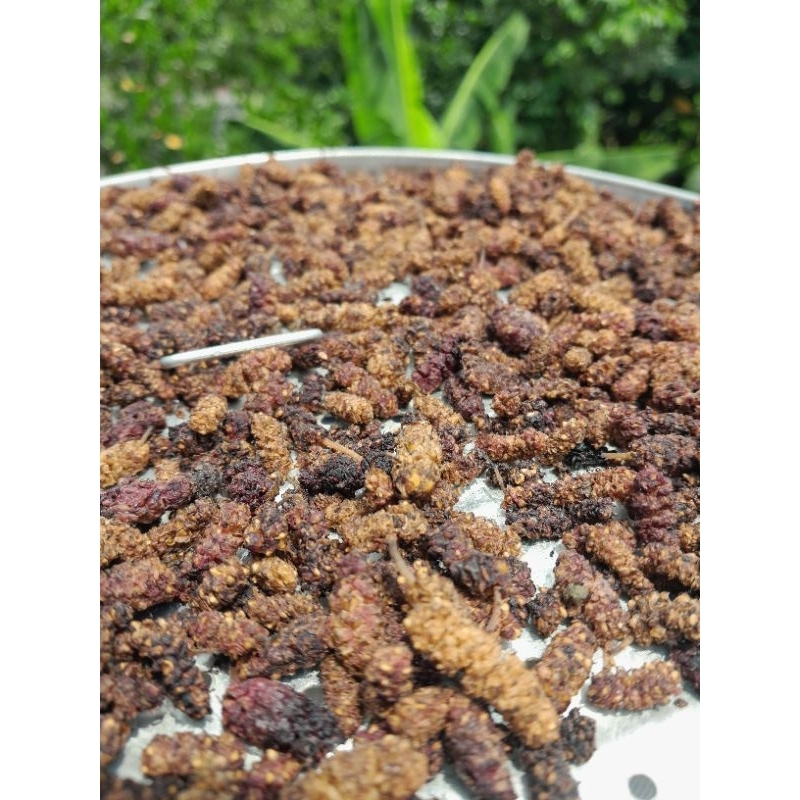 Jual Buah Murbei Kering Mullbery | Shopee Indonesia