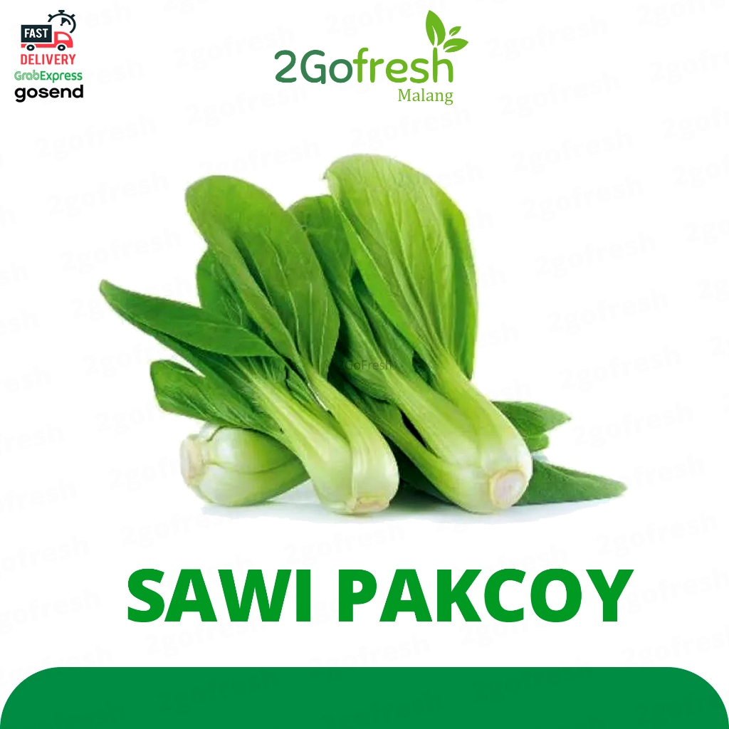 Jual Daun Sawi Pakcoy Fresh - Sayur Sayuran | Shopee Indonesia