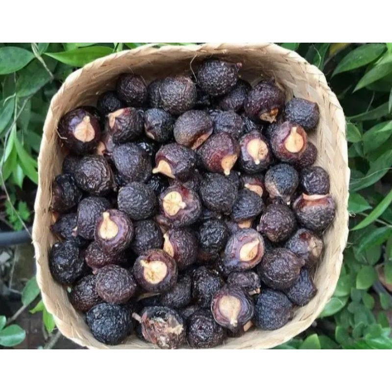 Jual Buah Lerak Utuh Daging & Biji 1kg Sabun Alami #Lerak | Shopee ...