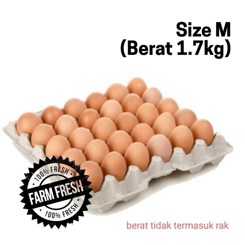 Jual Telur Ayam Ras Terlengkap & Harga Terbaru Juni 2026 | Shopee Indonesia