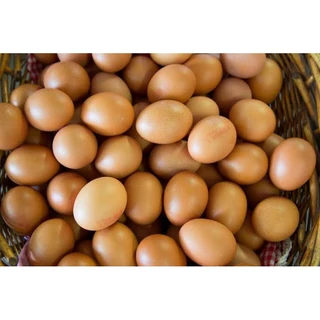 Jual Telur Ayam 1 Kg Terlengkap & Harga Terbaru Oktober 2025 | Shopee ...
