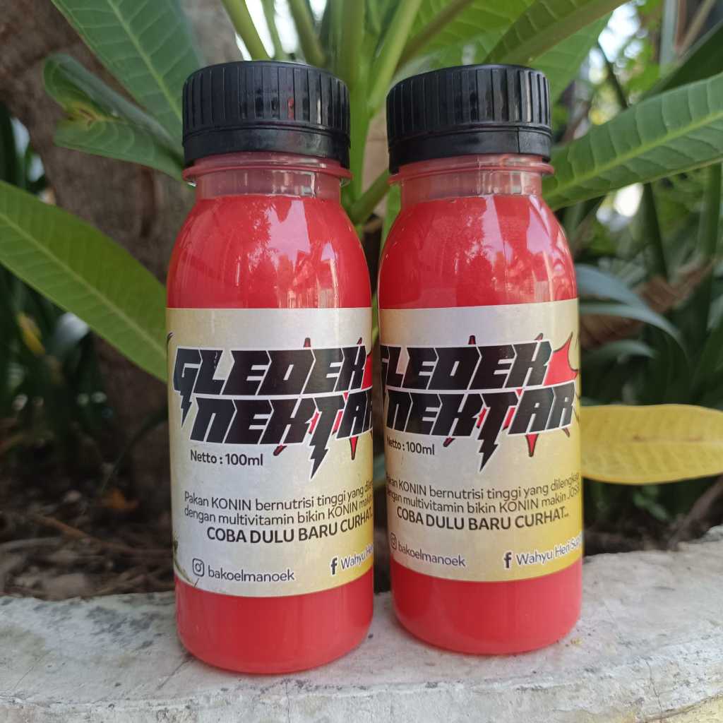 Jual GLEDEK NEKTAR 100ML PAKAN SOGON KOLIBRI DOSIS TINGGI LOMBA DAN ...