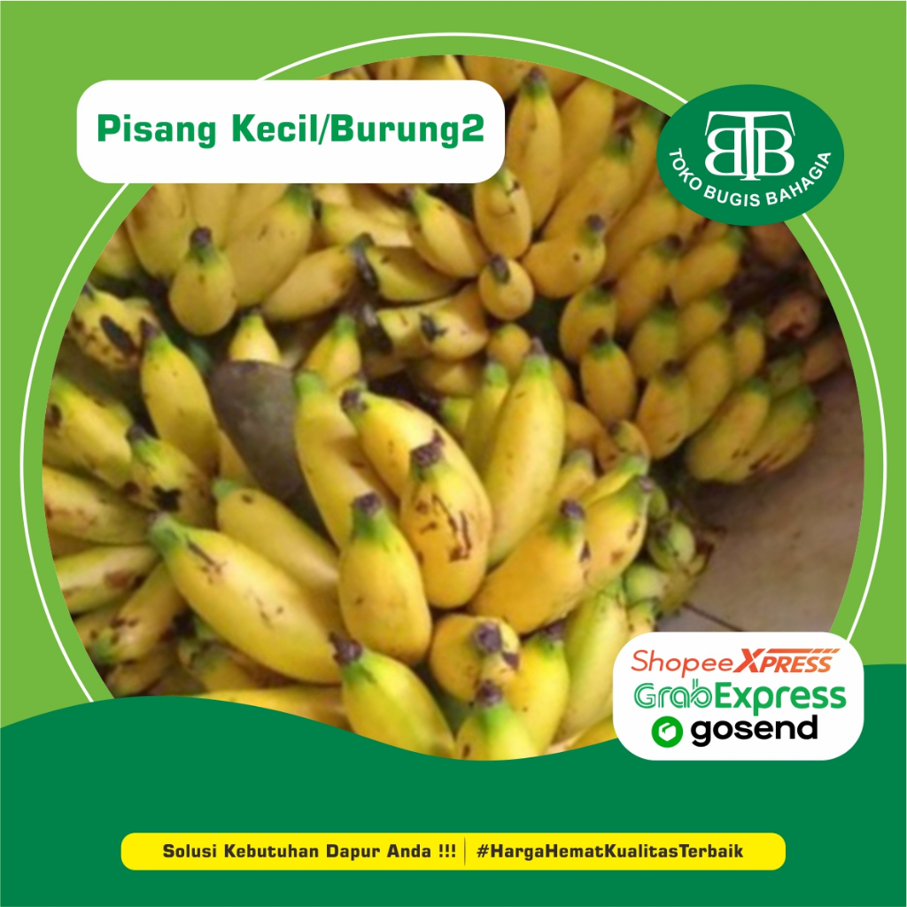Jual Pisang Kecil/Marlin, Murah Makassar | Shopee Indonesia