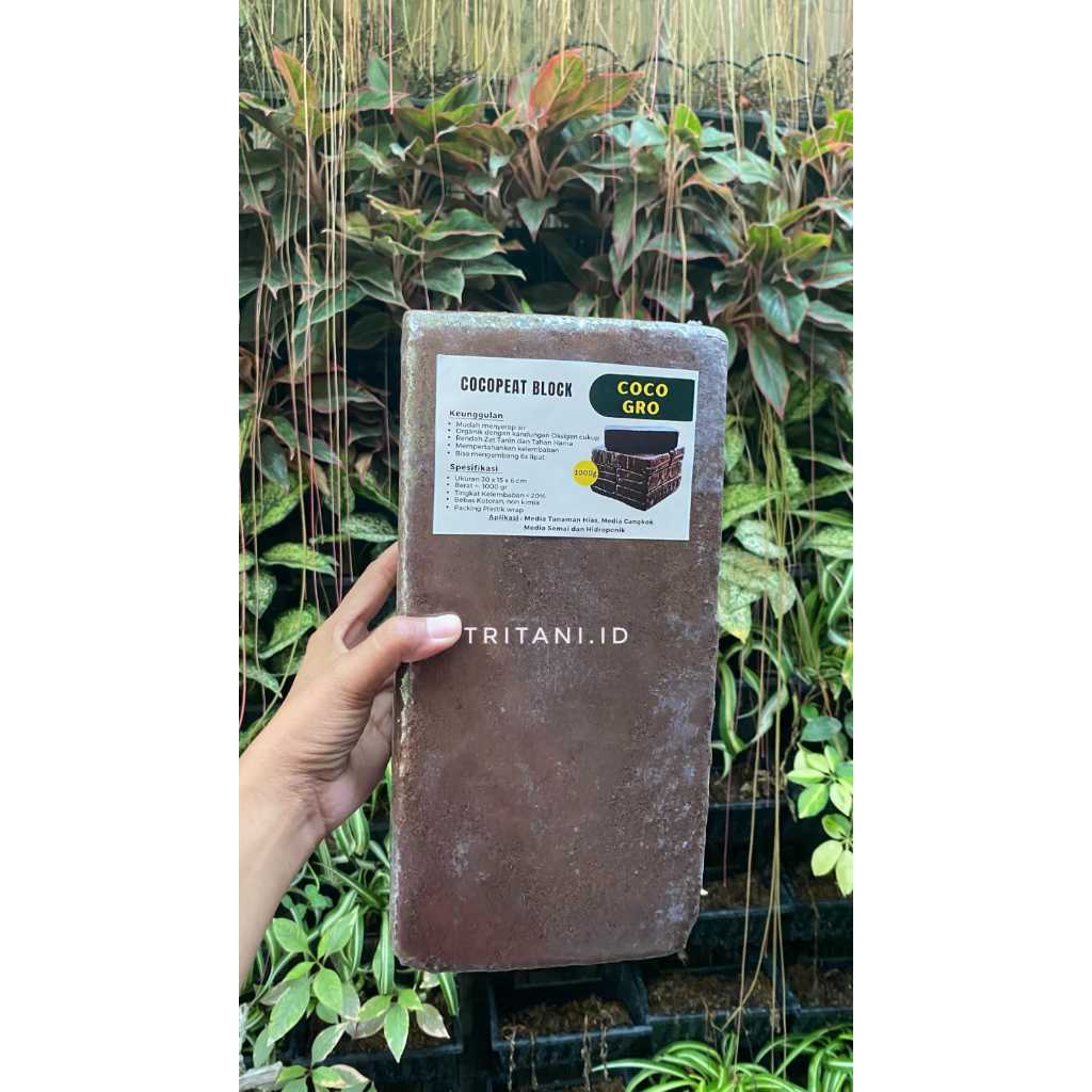 Jual cocopeat block coco gro media tanam cocopeat | Shopee Indonesia Jual cocopeat block coco gro media tanam cocopeat | Shopee Indonesia