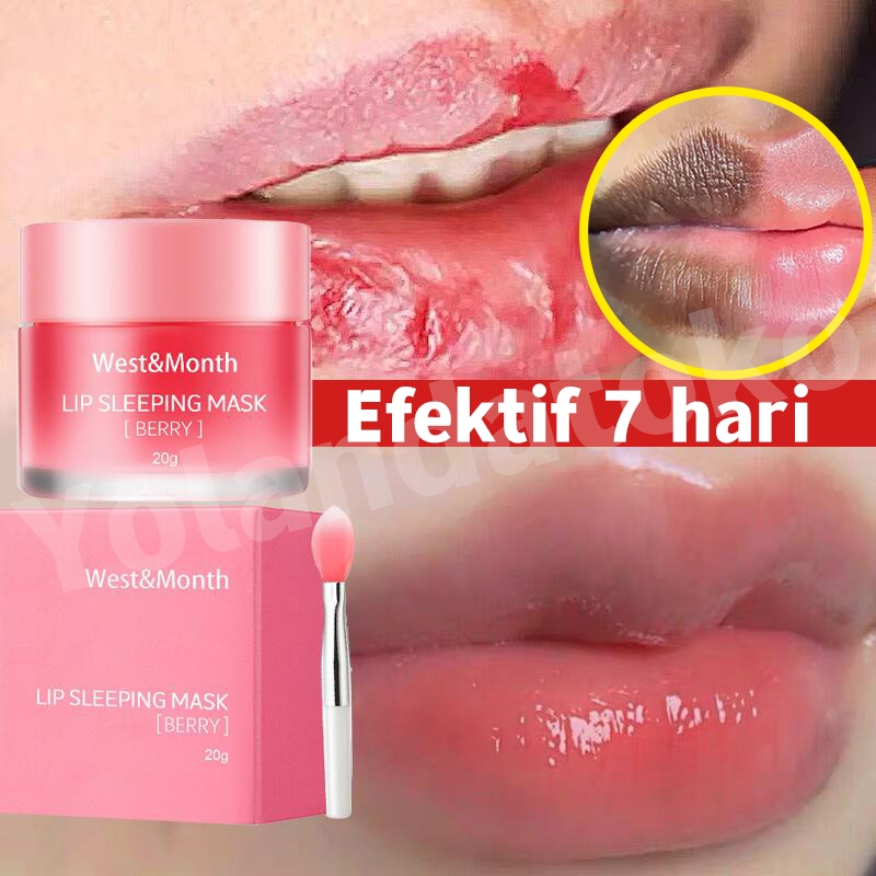 Jual Lip Balm Lip Mask Serum Bibir Pelembab Bibir 20g Pemerah Bibir Lipbam Bibir Masker Bibir