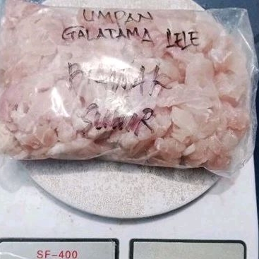 Jual Umpan Galatama Lele daging suwir BWK 200 gram | Shopee Indonesia