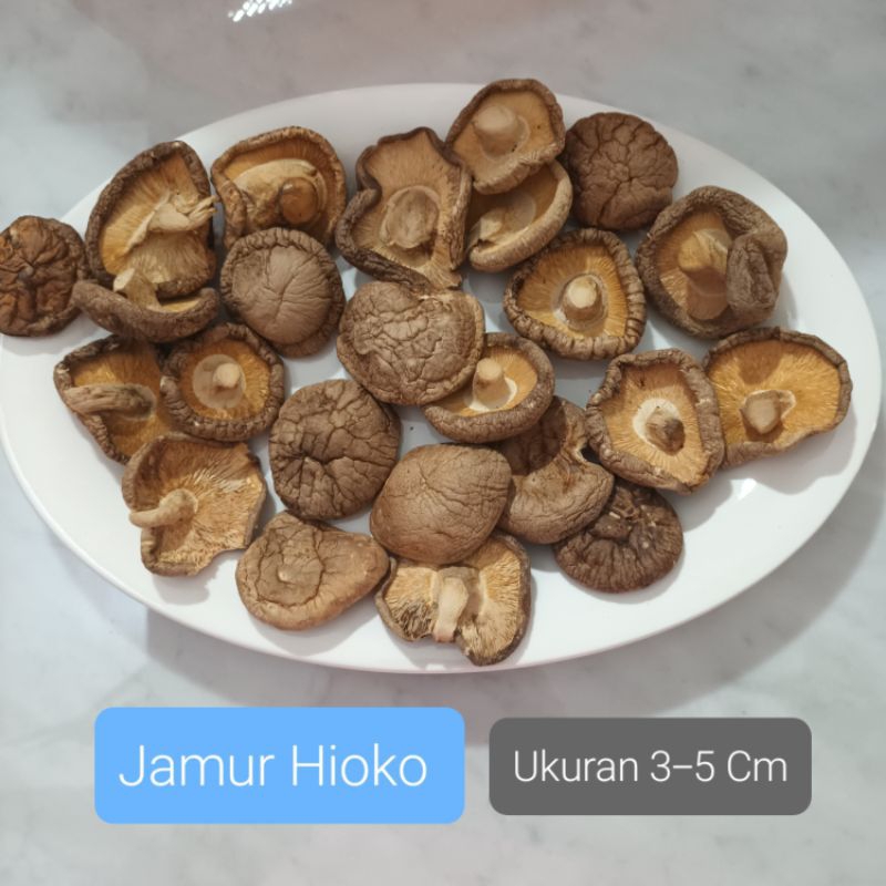 Jual Jamur Hioko / Jamur Shitake Kering Wangi Ukuran 3-5 Cm | Shopee ...