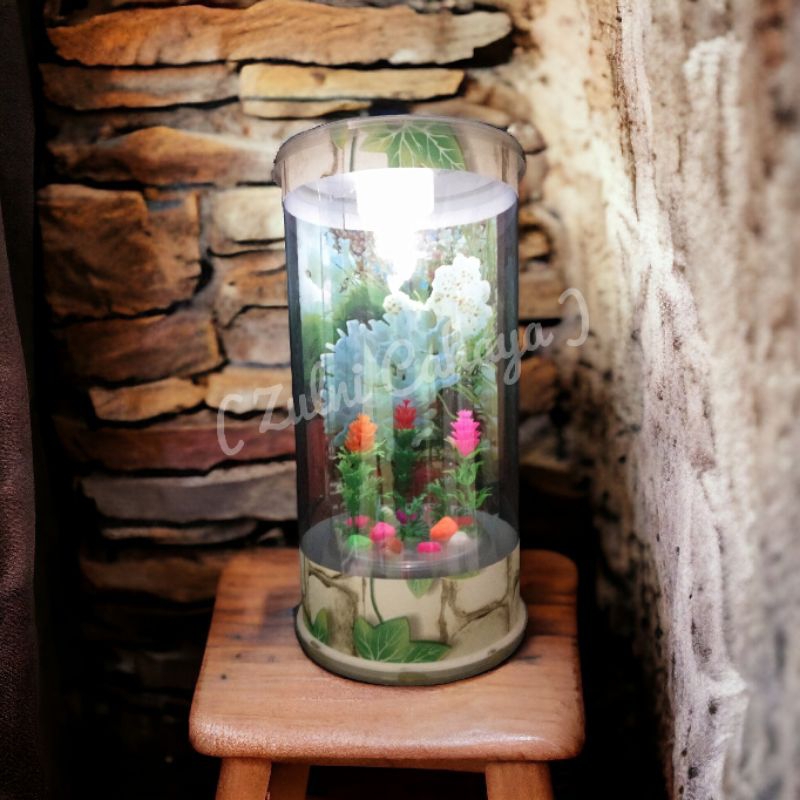 Jual ( BELI 1 DAPAT 1 ) Aquarium Mini Dilengkapi: Lampu Led Batray 3wat ...