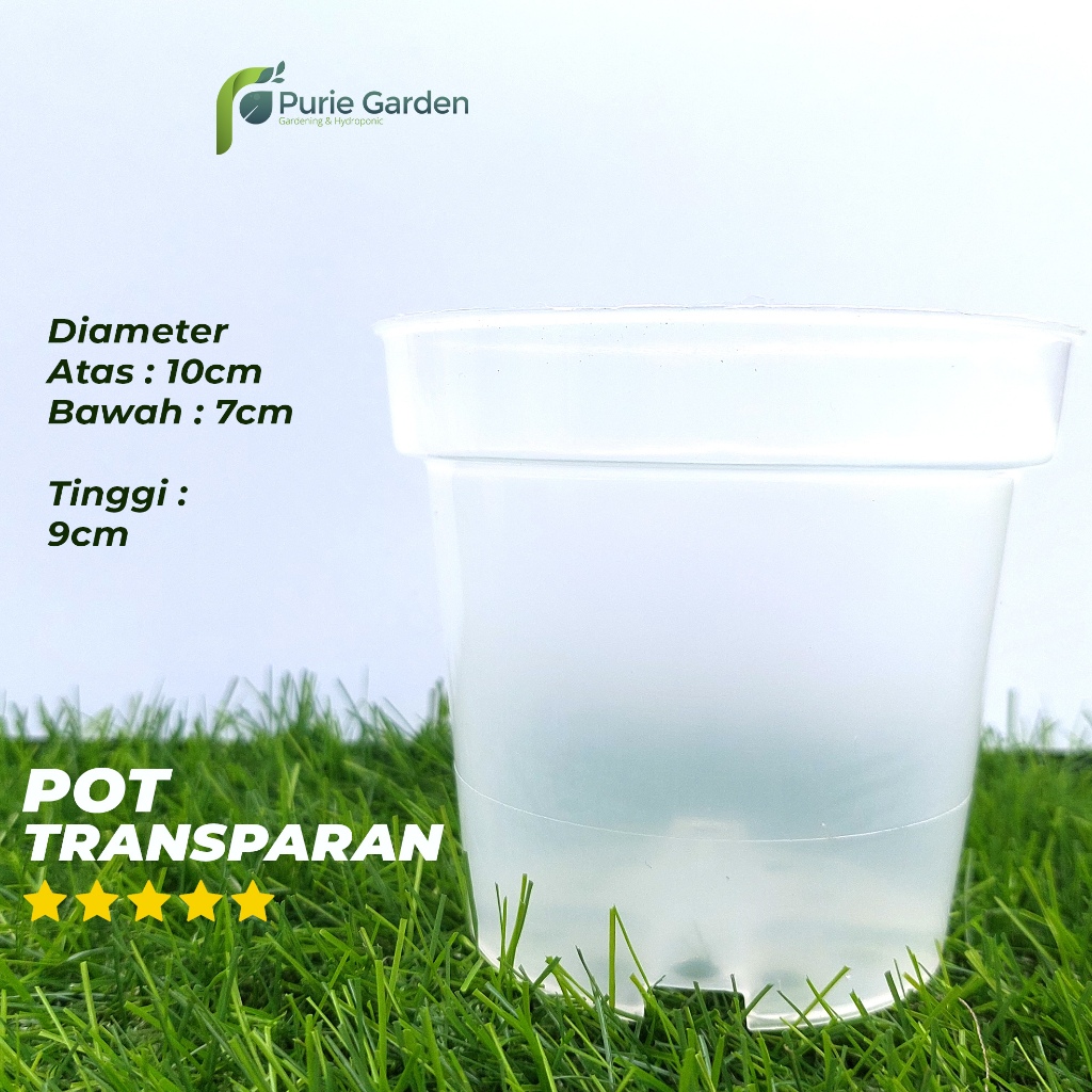 Jual Pot Bening Transparan 10cm Srondol | Shopee Indonesia