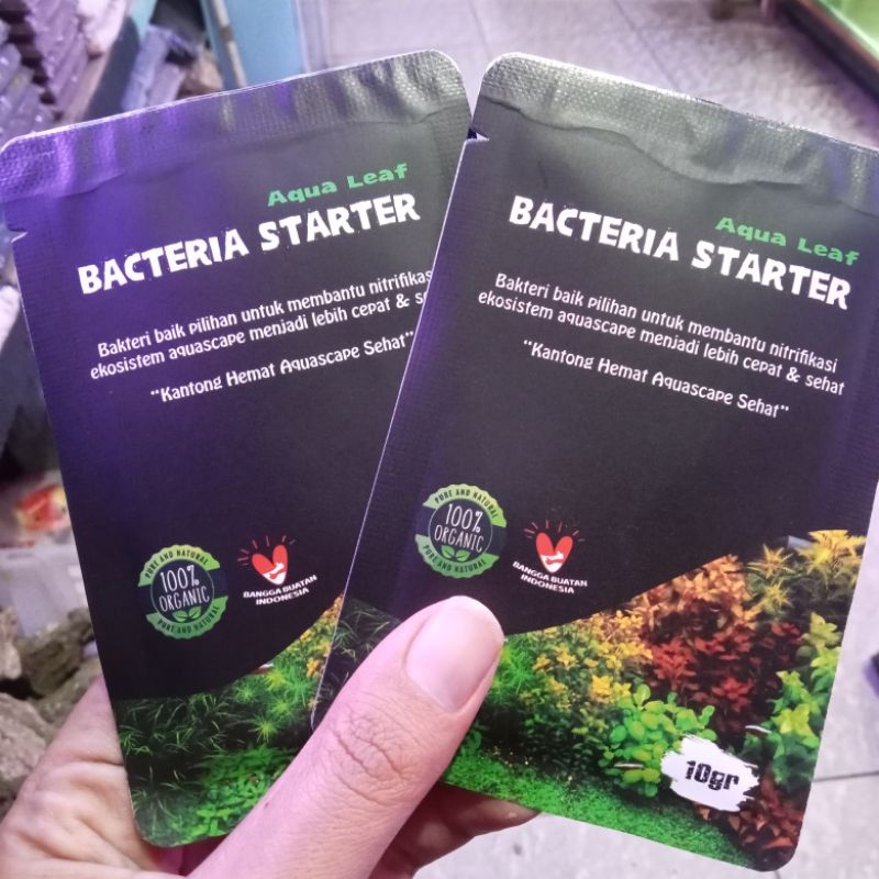 Jual Bacteria starter Bakteri starter Aquascape 10gr | Shopee Indonesia