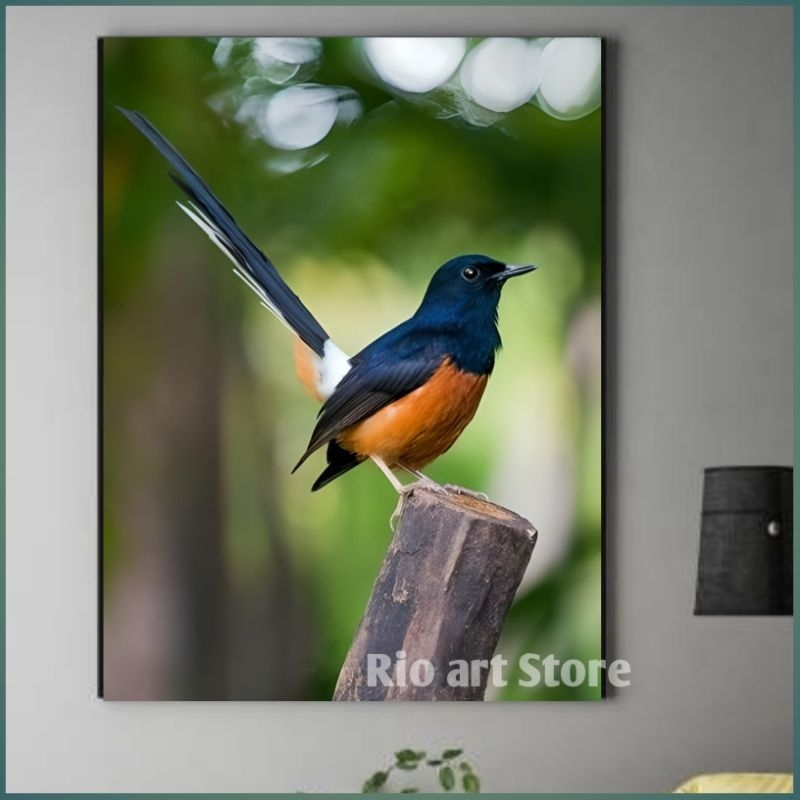 Jual Hiasan dinding poster burung mur4i untuk walldekor atau dekorasi ...