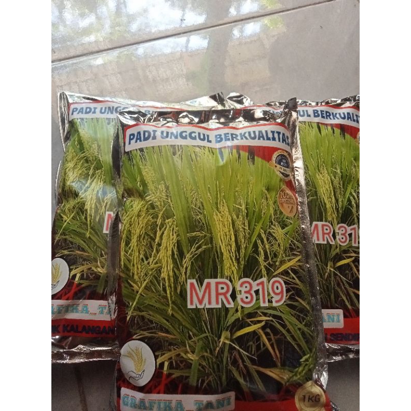 Jual Benih padi MR 319 kemasan 1 kg | Shopee Indonesia