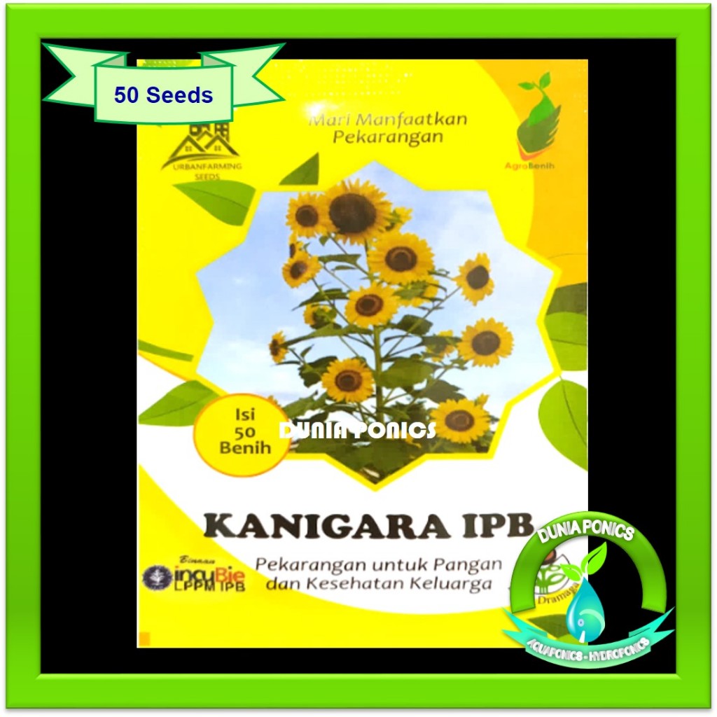 Jual Benih Bibit Bunga Matahari SUNFLOWER KANIGARA IPB Seeds Original Pack Kemasan Asli Pabrik ...