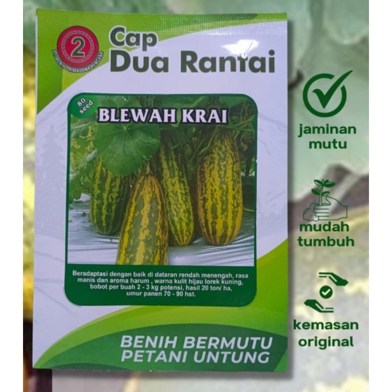 Jual Benih Unggul Timun Suri Hijau Loreng BLEWAH KRAI Kemasan 10 Gram. | Shopee Indonesia