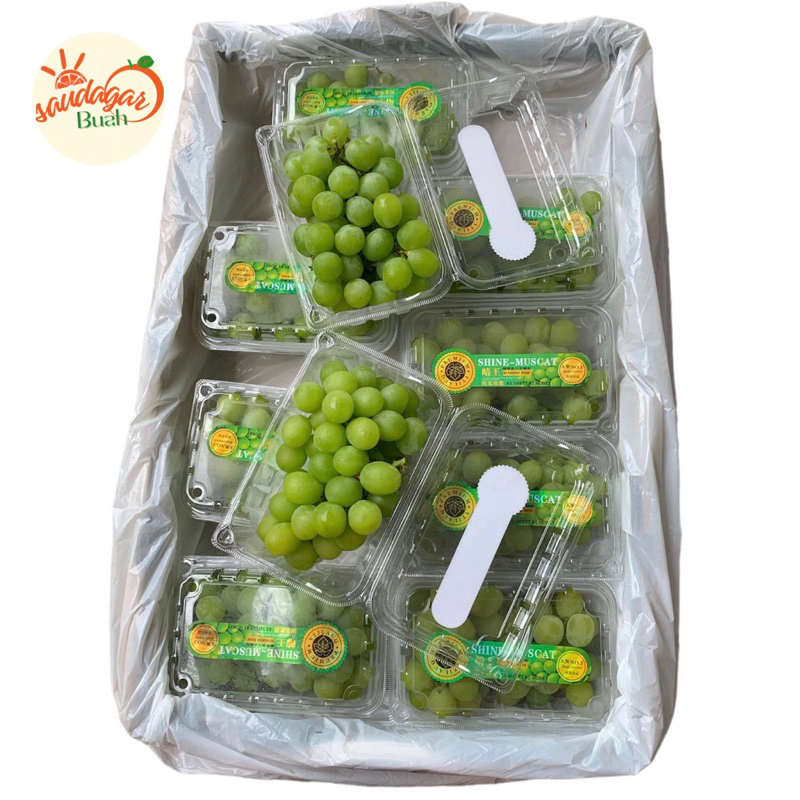 Jual BUAH ANGGUR MUSCAT PER DUS GROSIR | Shopee Indonesia