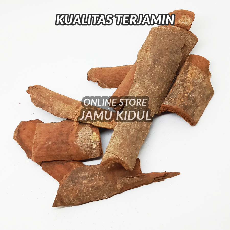 Jual Kulit Kayu Sintok Kering 250gr Asli Hutan - Lebih Berkhasiat ...