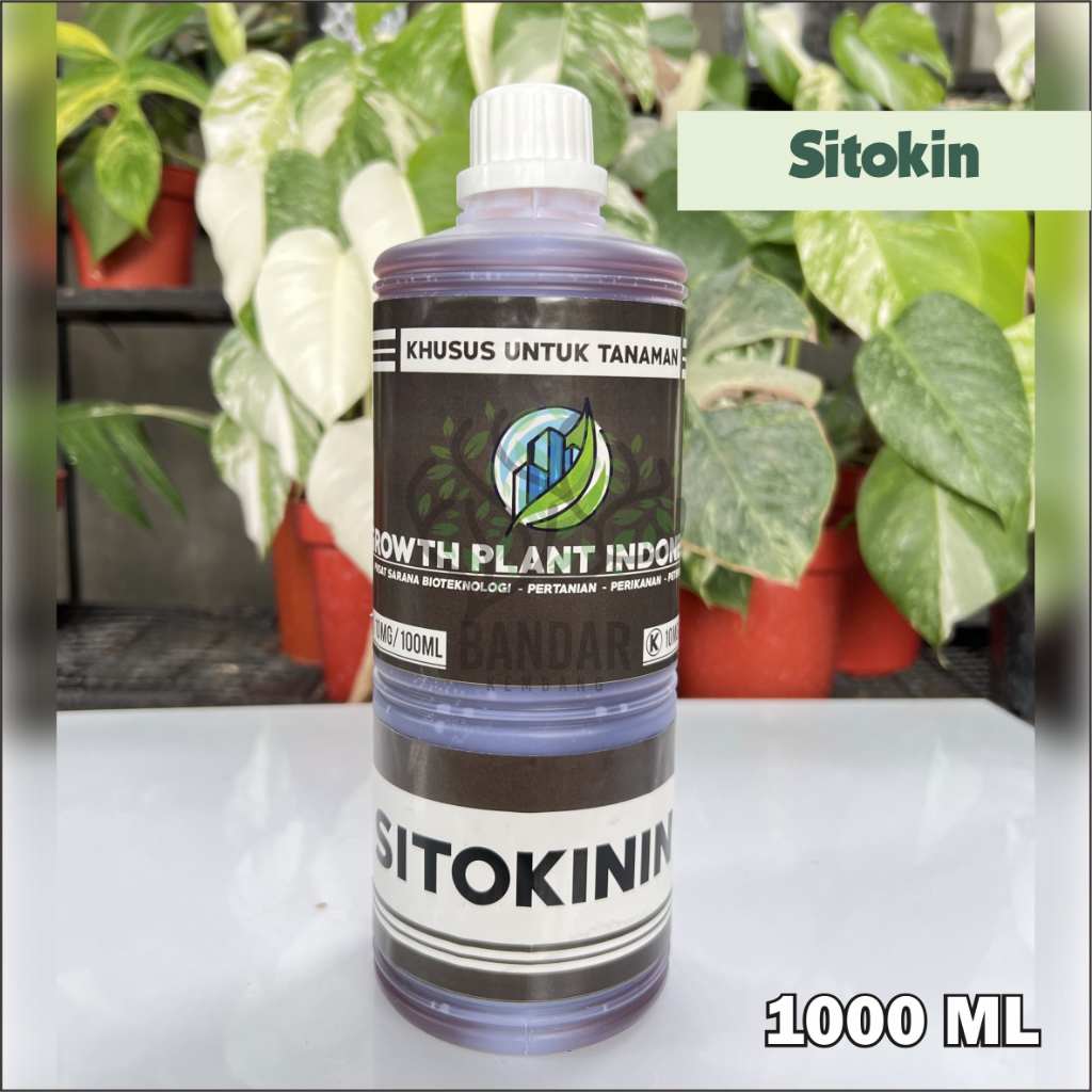 Jual Hormon Vitamin Pertumbuhan Tunas Tanaman SITOKININ 1 Liter ...