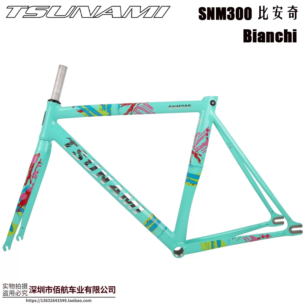 Jual FRAME TSUNAMI SNM300 2023 FIXIE FIXED GEAR SINGLE SPEED | Shopee ...