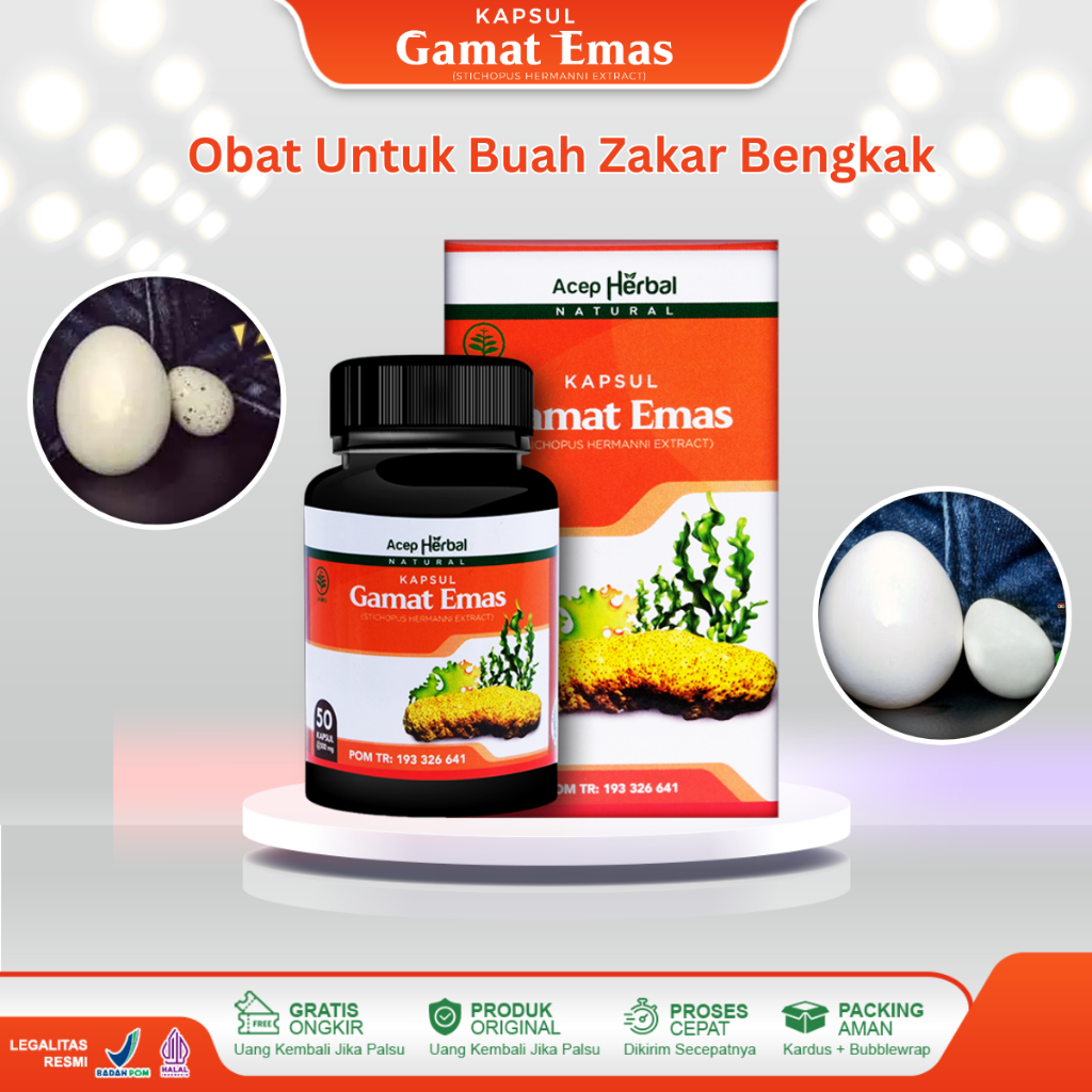 Jual Obat Buah Zakar Bengkak Varikokel Hidrokel Testis Bengkak Buah ...