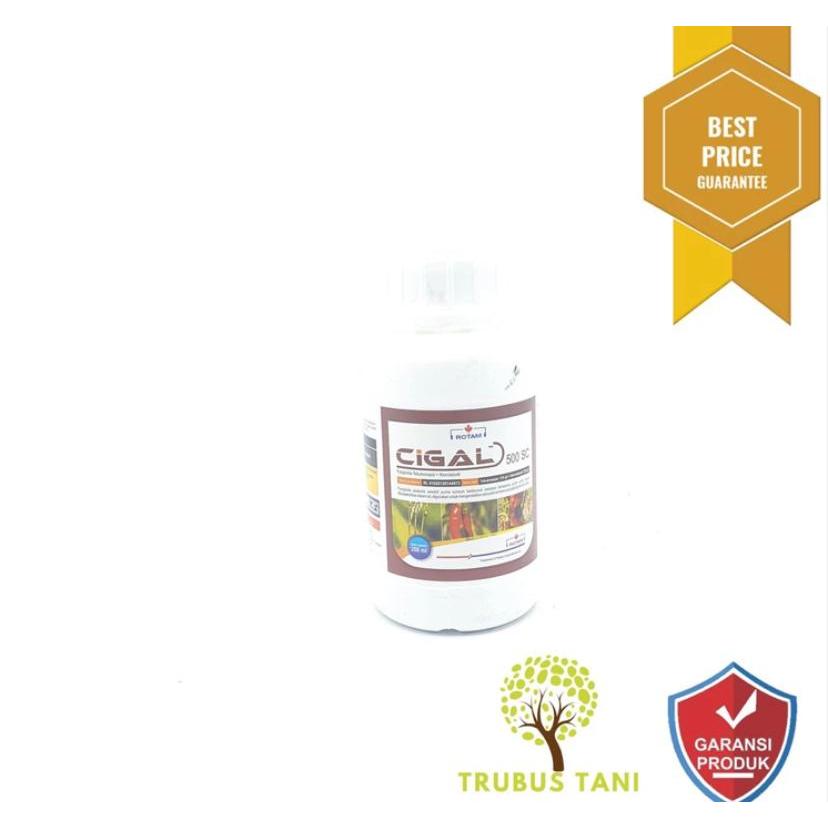 Jual FUNGISIDA TEBUKONAZOL CIGAL 500 SC 250 ML | Shopee Indonesia