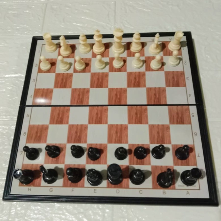 Jual PAPAN CATUR MAGNET CHESS MAGNETIC BOARD GAME 25 X 25 CM | Shopee ...