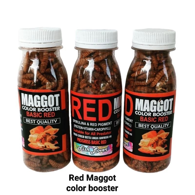 Jual Fish Lover Maggot Red BSF Color Booster Basic Red 20gr Pakan Ikan ...
