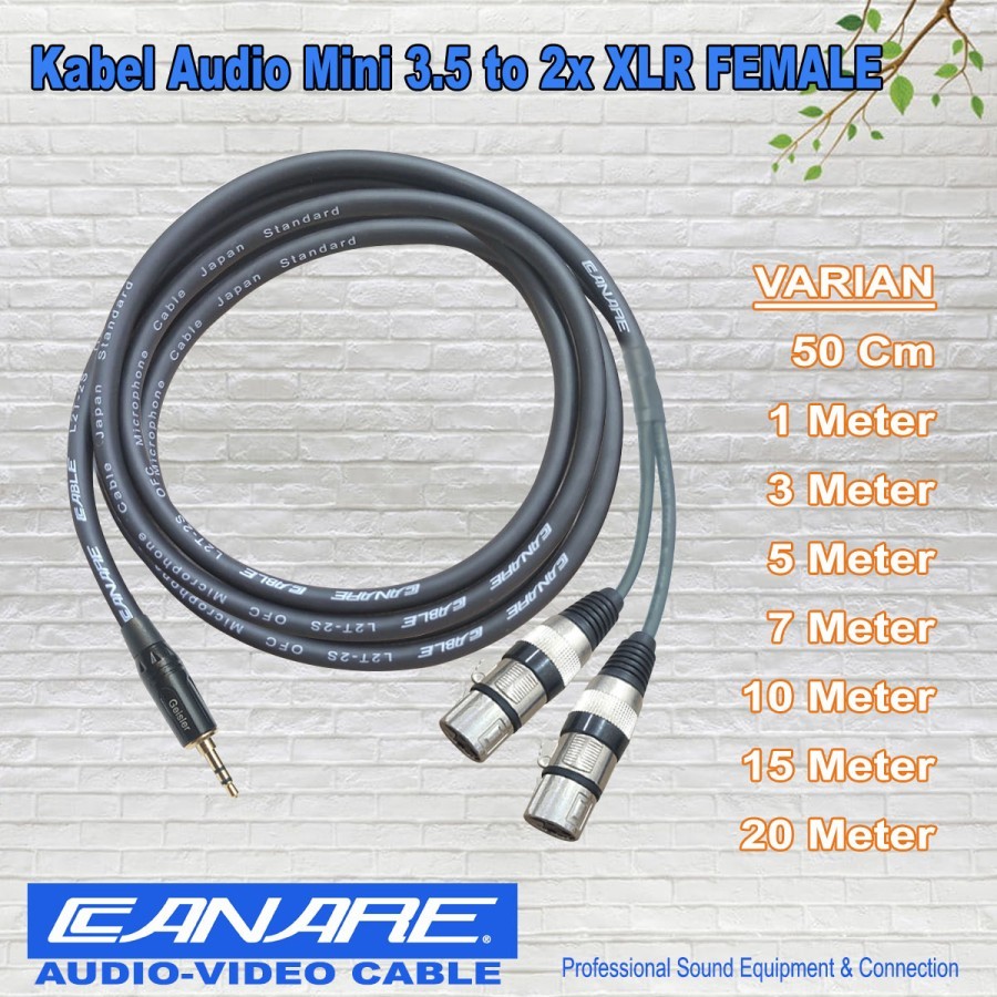 Jual Kabel Audio/ Kabel In Out Mixer Mini Stereo To 2x XLR Female ...