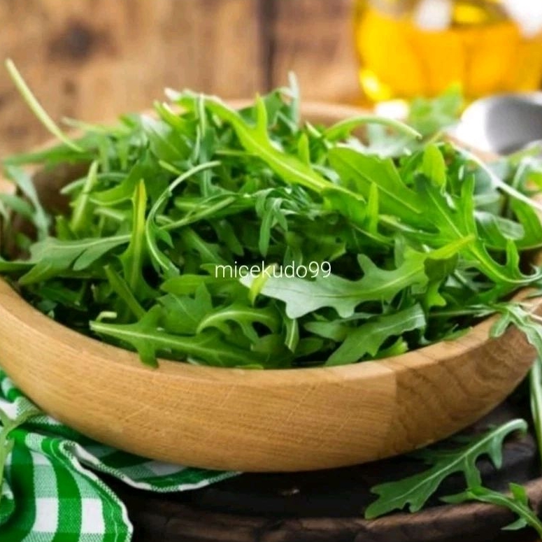 Jual WILD RUCOLA ORGANIK RUCCOLA FRESH SEGAR ROCKET DAUN ARUGULA ...