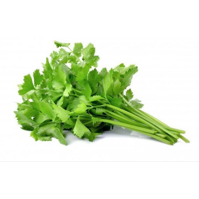Jual Daun sledri 5 ribu | Shopee Indonesia
