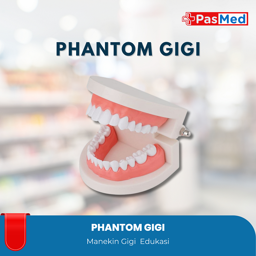 Jual PASMED | Manekin Gigi / Model Studi Gigi / Phantom gigi / Dental ...