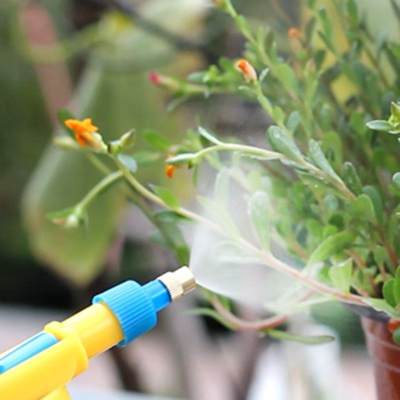 Jual Alat Penyemprot Tanaman semprotan burung pompa manual stick ...