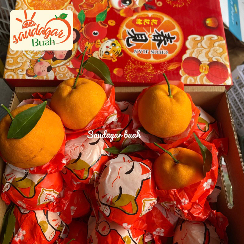 Jual BUAH JERUK DEKOPON / JERUK PAPAGAN / JERUK SUMO CUN JIAN MANIS ...