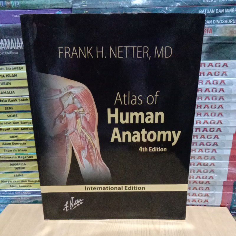 Jual Buku Original Atlas Of Human Anatomy 4th Edition By Frank H Netter ...