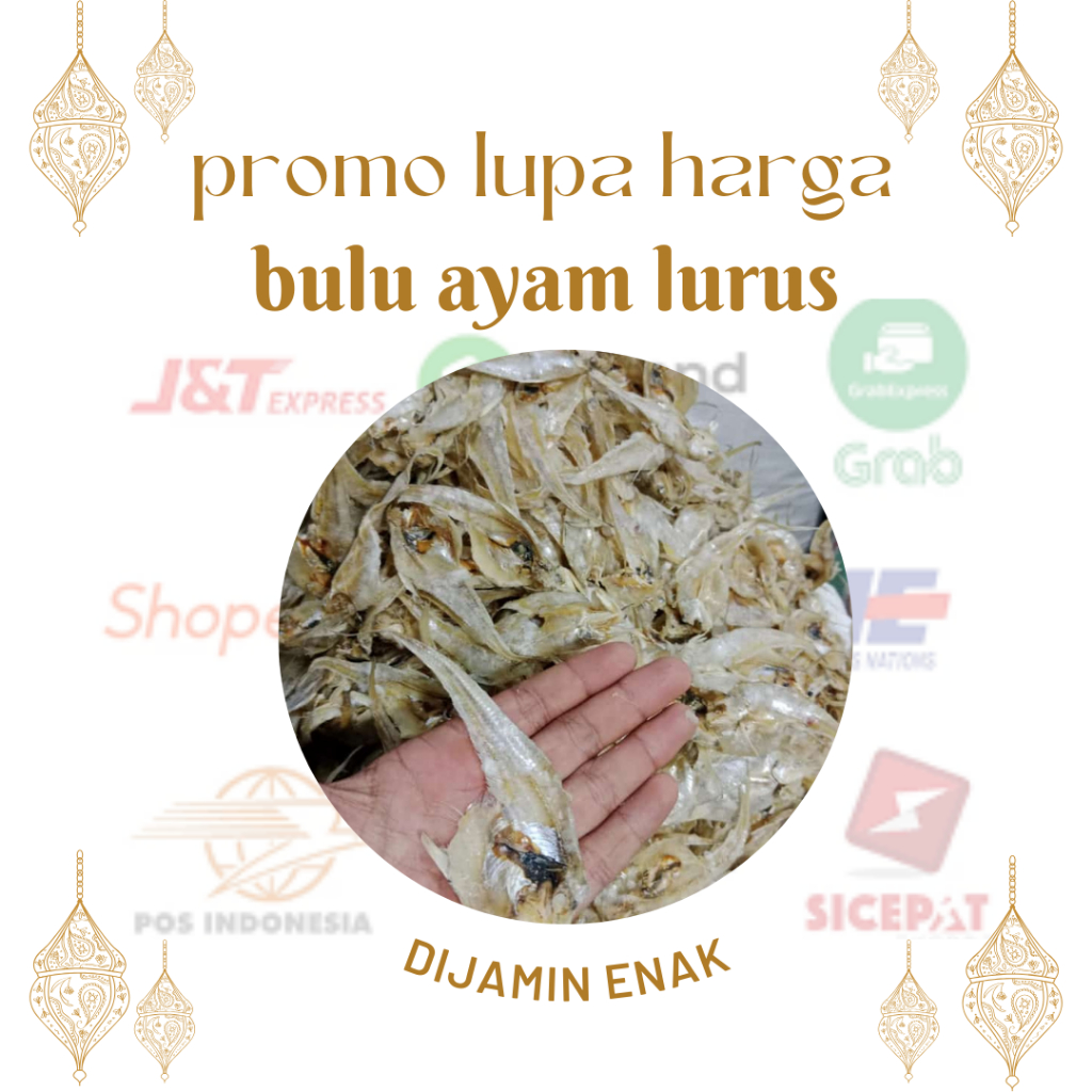 Jual Ikan Asin Bulu Ayam Lurus Premium - Kemasan 500g-1kg | Shopee ...