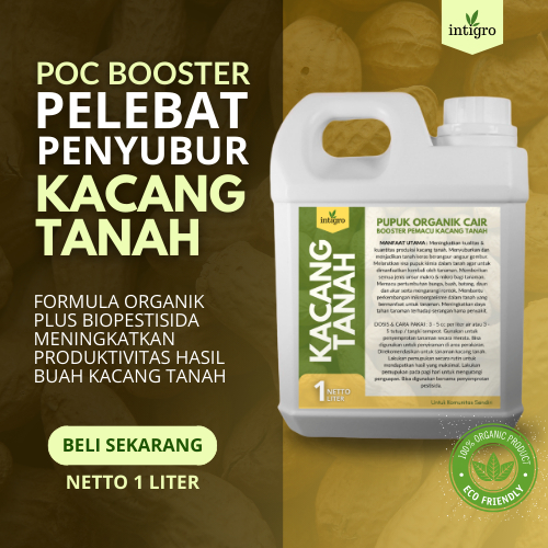 Jual Pupuk Kacang Tanah / Pupuk Pelebat Buah Kacang Tanah / Pupuk Cair Buat Kacang Tanah / Pupuk ...