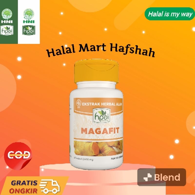 Jual MAGAFIT HNI HPAI OBAT MAAG KRONIS & ORGAN LAMBUNG, SOLUSI MAAG ...