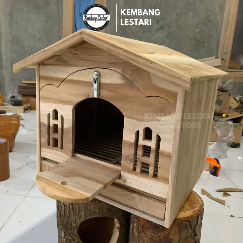 Jual GUPON MERPATI KAYU JATI MSI (MAHA SUPER ISTIMEWA) | Shopee Indonesia