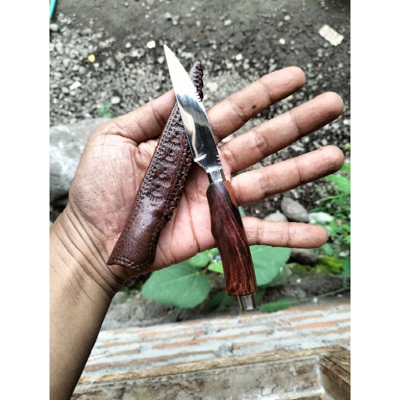 Jual pisau kecil baja putih pisau mini baja hss | Shopee Indonesia