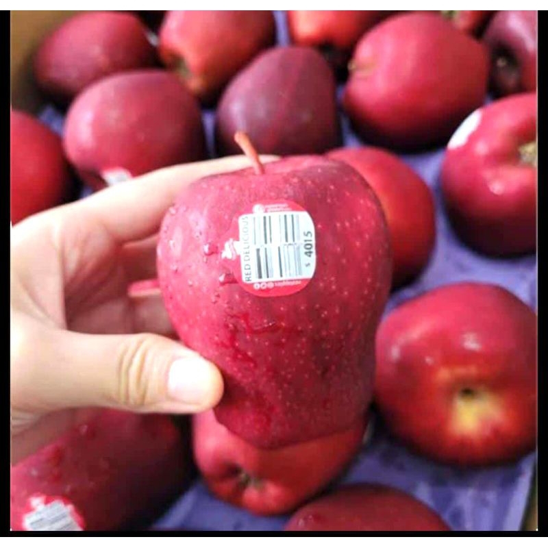 Jual Apel merah Red Del whasington USA 1 kg | Shopee Indonesia