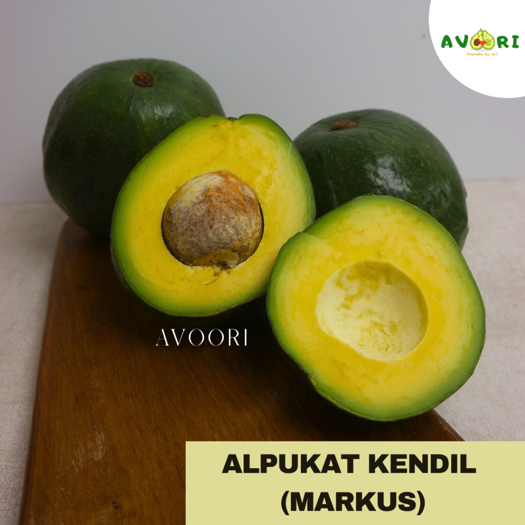 Jual ALPUKAT MARKUS / KENDIL by AVOORI | Alpukat Mentega Unggul ...