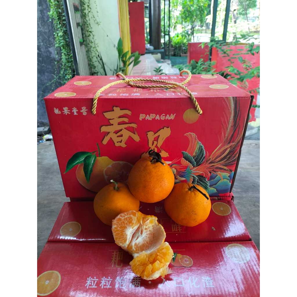 Jual Manganobuah - Jeruk Papagan Imlek Giftpack | Shopee Indonesia