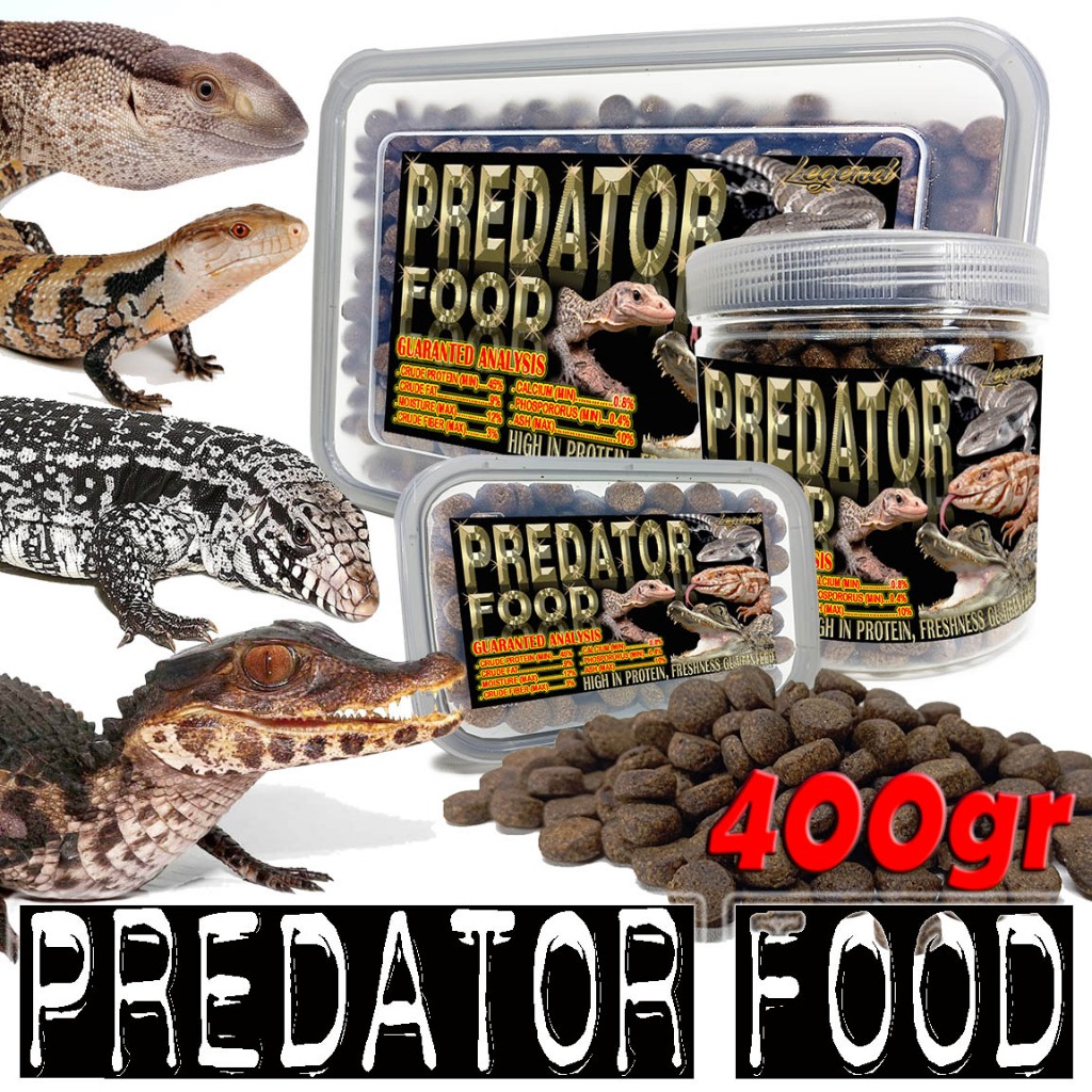 Jual 400GR PREDATOR FOOD PELET MAKANAN DIET REPTILE TEGU KURA CST AST ...