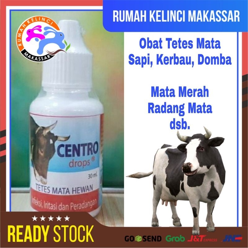 Jual CENTRO DROPS Obat Mata Sapi Domba Babi Kambing Obat Tetes Mata ...