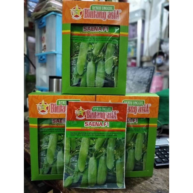 Jual BENIH TIMUN SAENA F1 20GR BINTANG ASIA | Shopee Indonesia