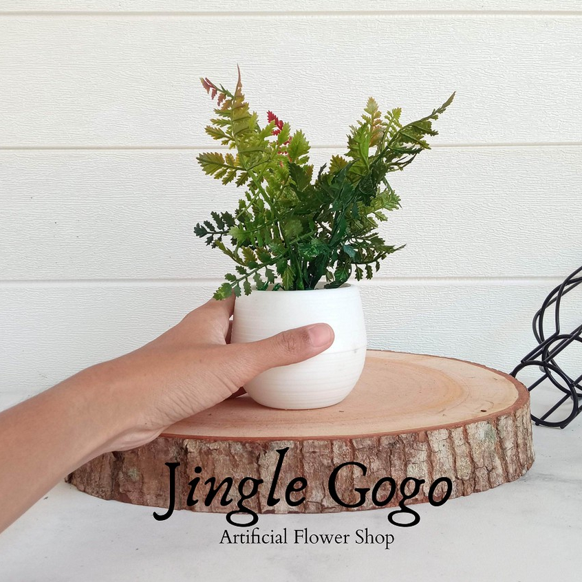 Jual Tanaman Hias Pot Mini Aesthetic Bunga Hias Meja Kantor Rangkaian ...