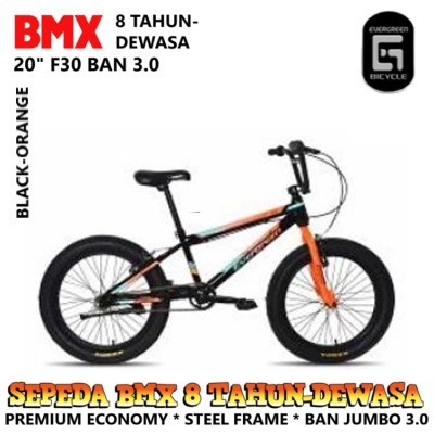 Jual Sepeda BMX Evergreen F30 M1 Remaja-Dewasa 20 Inci Pelek Aloi ...